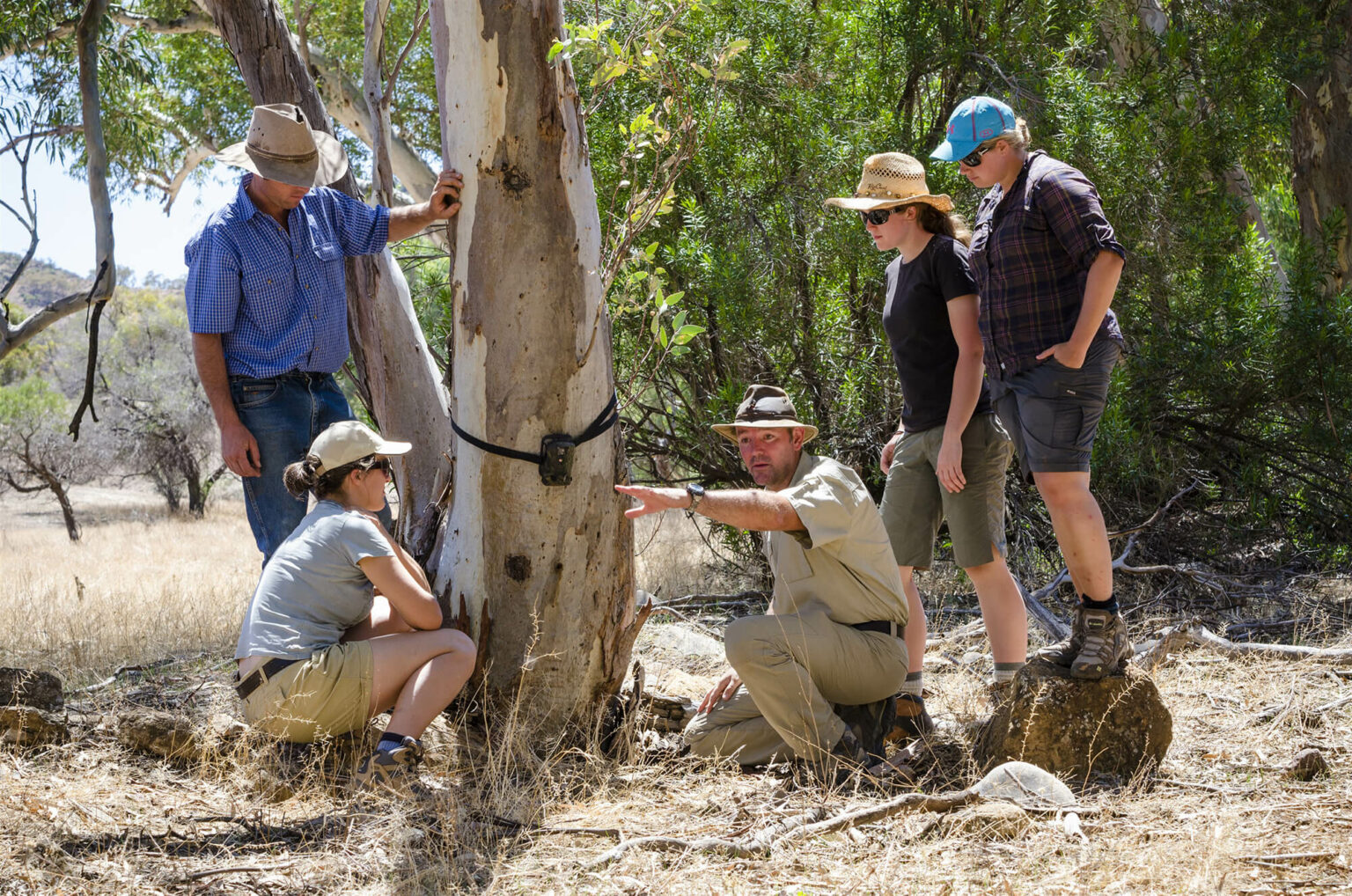 Photo gallery – Wild Bush Luxury